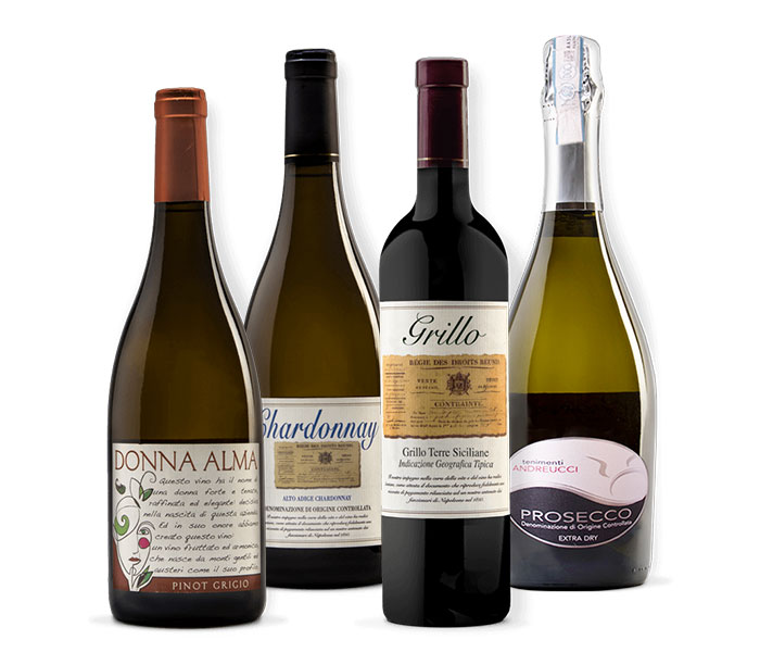 White Club Options - Vino Andreucci